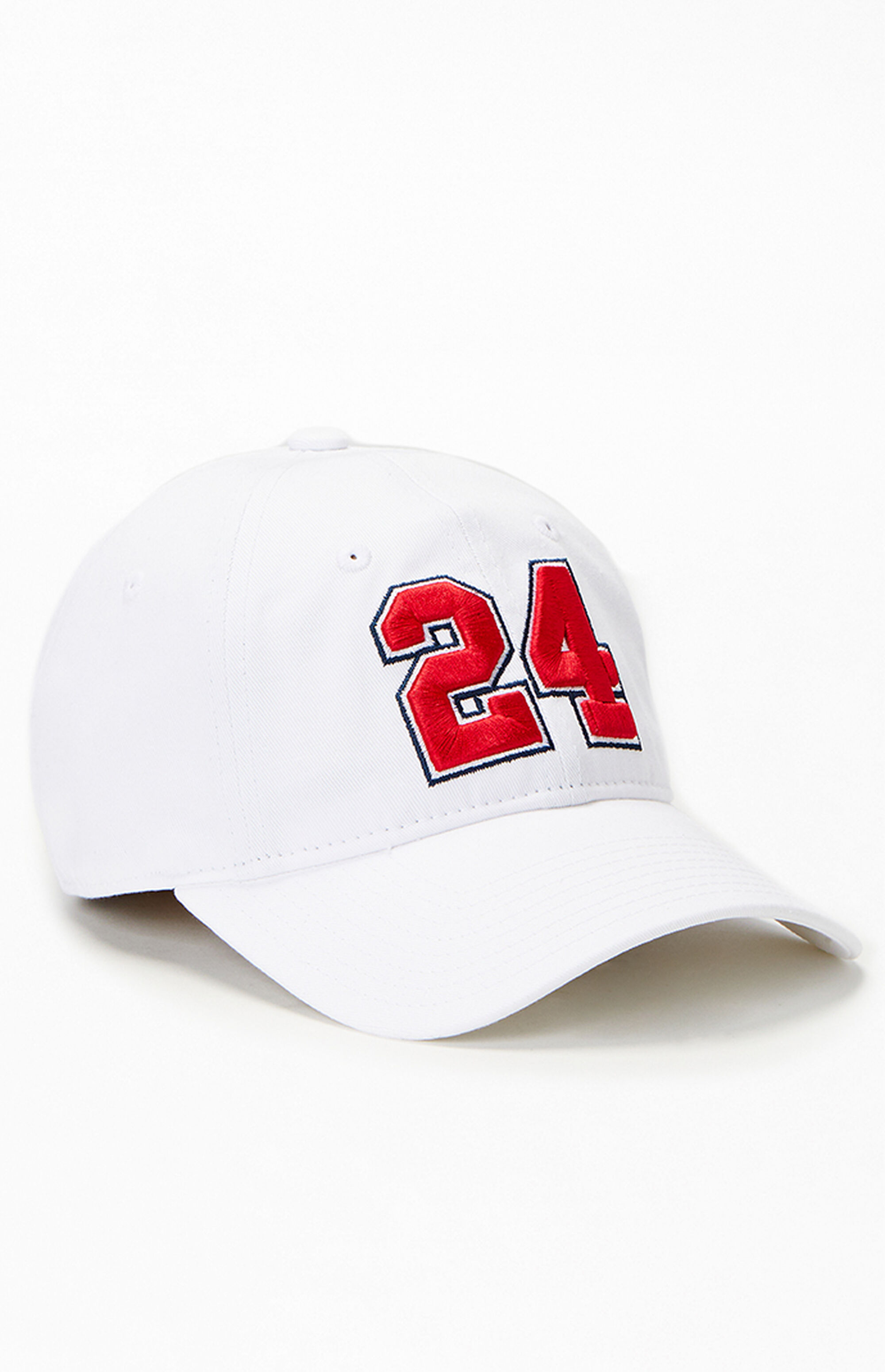 Olympics Team USA 24 Dad Hat | PacSun
